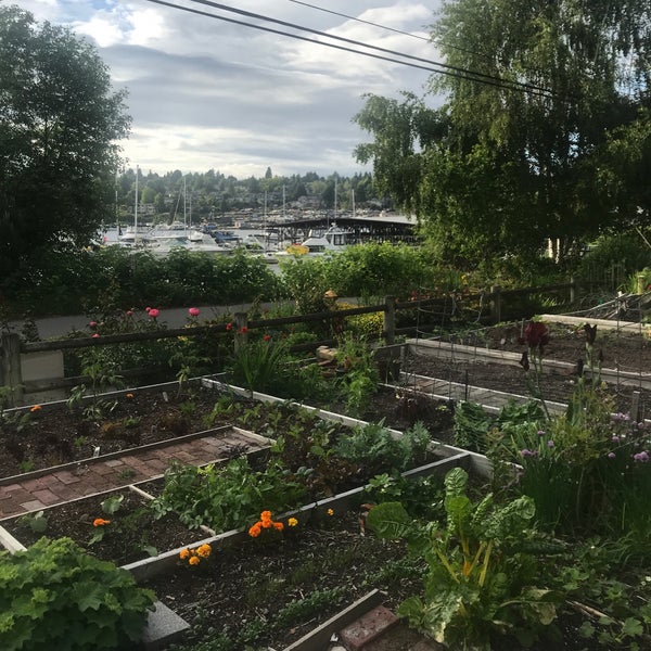 Eastlake P-Patch - Eastlake - Seattle, WA