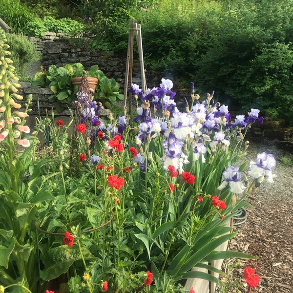 Eastlake P-Patch - Eastlake - Seattle, WA