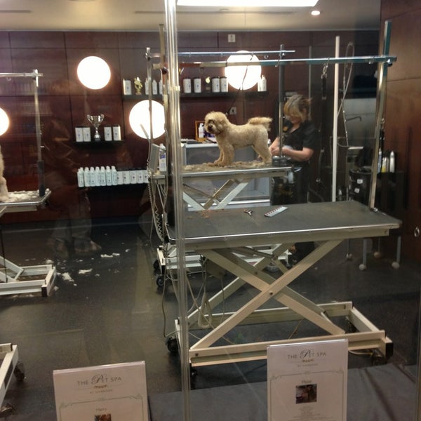 Do They Sell Puppies At Harrods