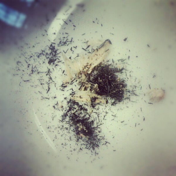 Yakeley Hall - Michigan State University - East Lansing, MI