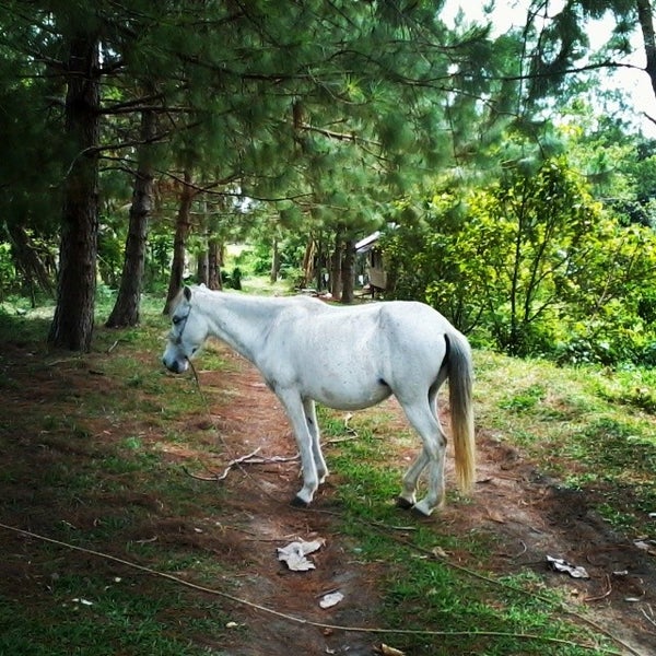 Photos at Guerrero Farm And Nature Park