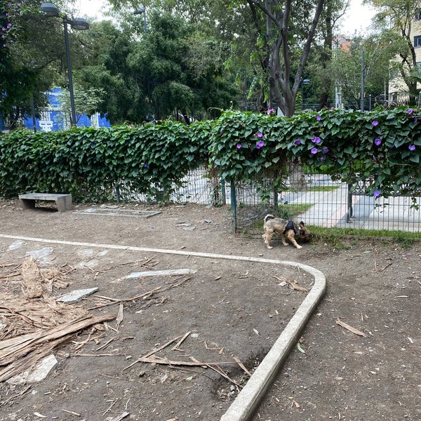 parque para perros Pushkin - Dog Park in Cuauhtémoc