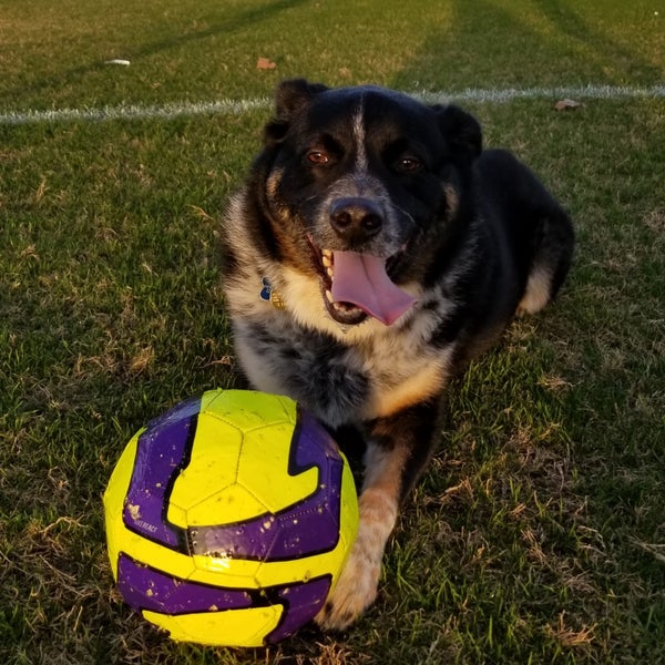 Photos at BREC Burbank Soccer Complex - Baton Rouge, LA