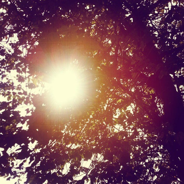 NVIDIA - Office in Pune