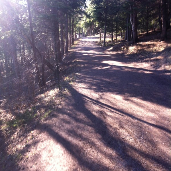 Mapleton Park - 1 tip