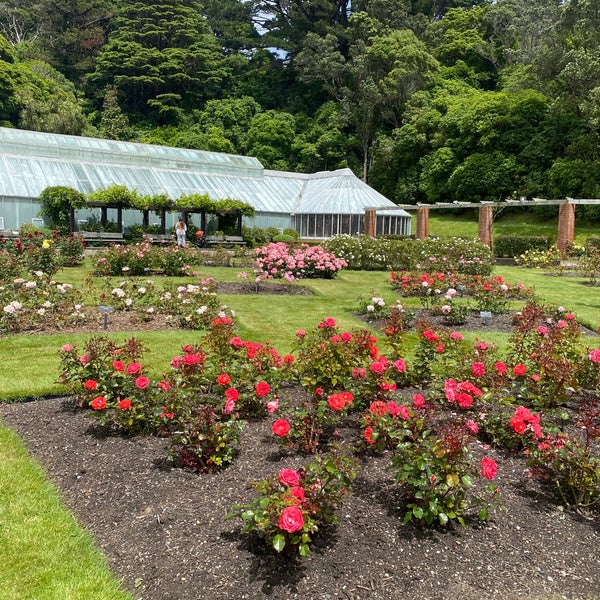 Lady Norwood Rose Garden - Kelburn - 5 tips from 535 visitors