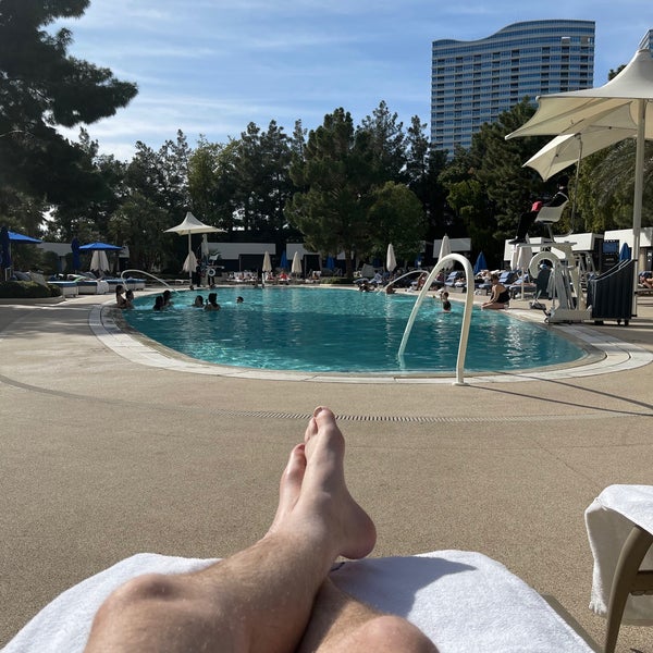 ARIA Pool & Cabanas - The Strip - 237 visitors