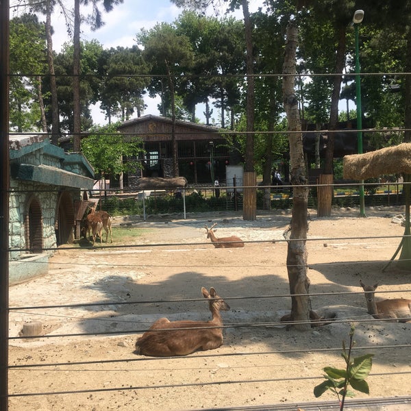 Photos at Tehran Zoo | باغ وحش تهران - منطقه ۵ - Eram Park