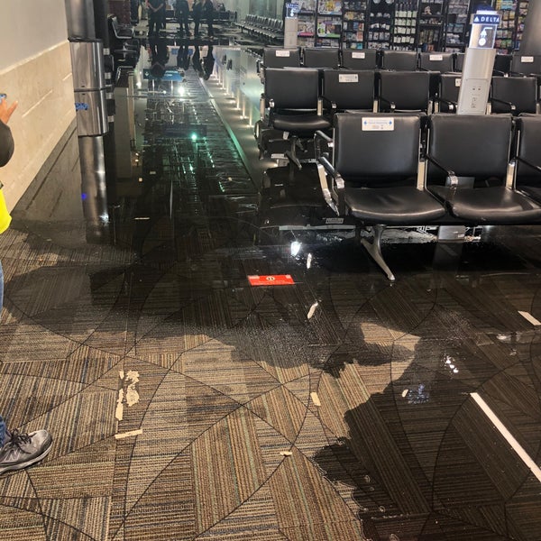 Gate D8 - Airport Gate in Fort Lauderdale