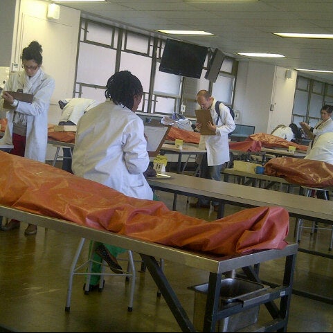 Photos at University Of Limpopo Medunsa Campus - 5 tips