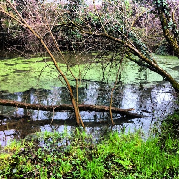 Oasi Le Foppe - Nature Preserve in Trezzo sull'Adda