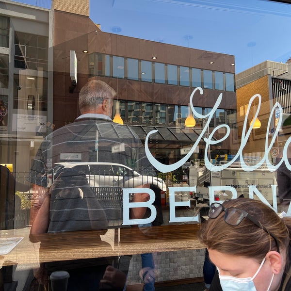 Yellow Bernard - Coffee Shop