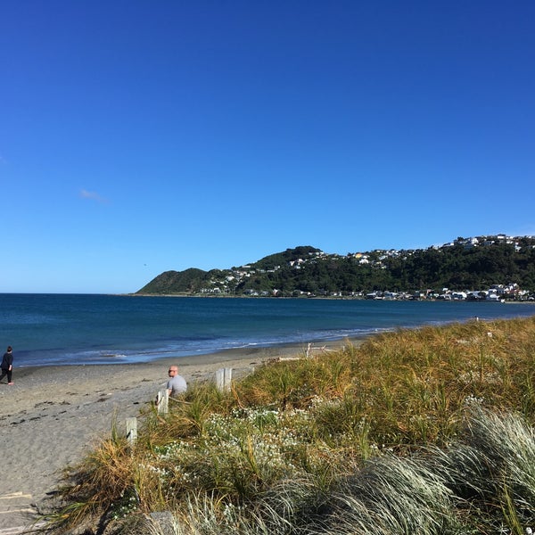 Photos at Lyall Bay Beach - Lyall Bay - 10 tips