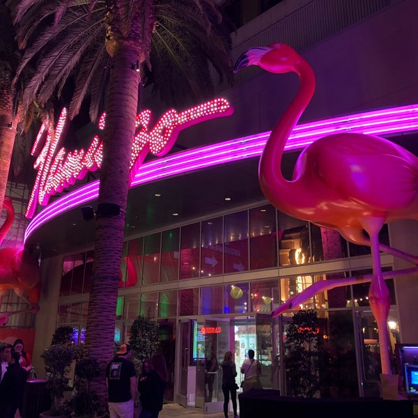 Flamingo Convention Center - 70 visitors