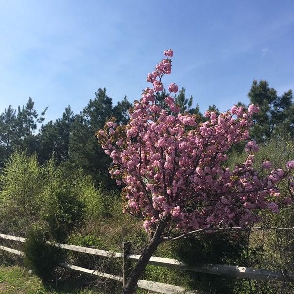 Cross Island Trail - 2 tips