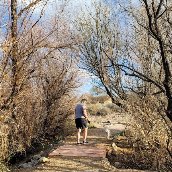 Roper Lake State Park - Safford, AZ