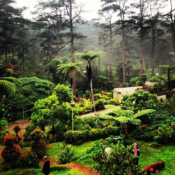 Botanical Garden In Baguio City | Fasci Garden