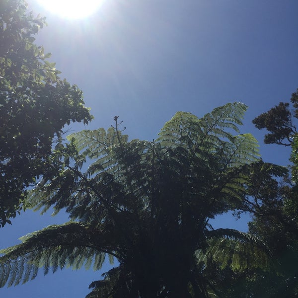 Kaitoke Regional Park - Nature Preserve
