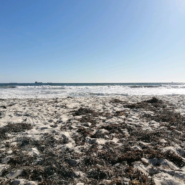 Leighton Beach - 10 tips from 507 visitors