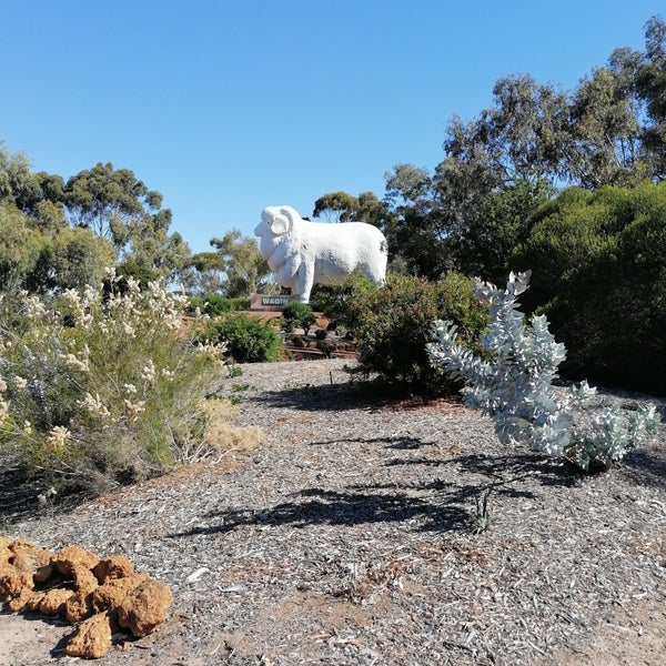 Giant Ram - Sculpture Garden in Wagin
