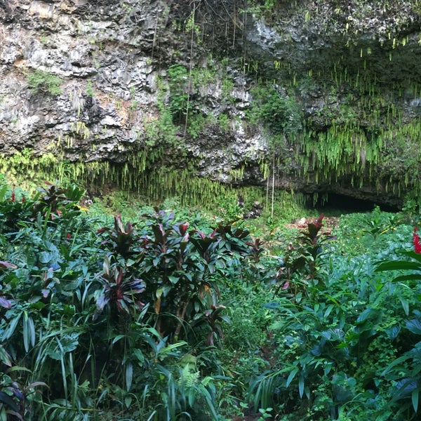 Fern Grotto