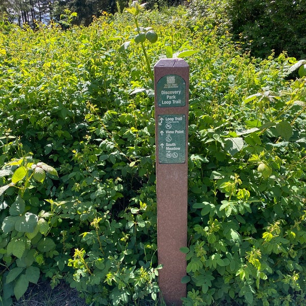 Discovery Park Loop Trail - Hiking Trail in Seattle