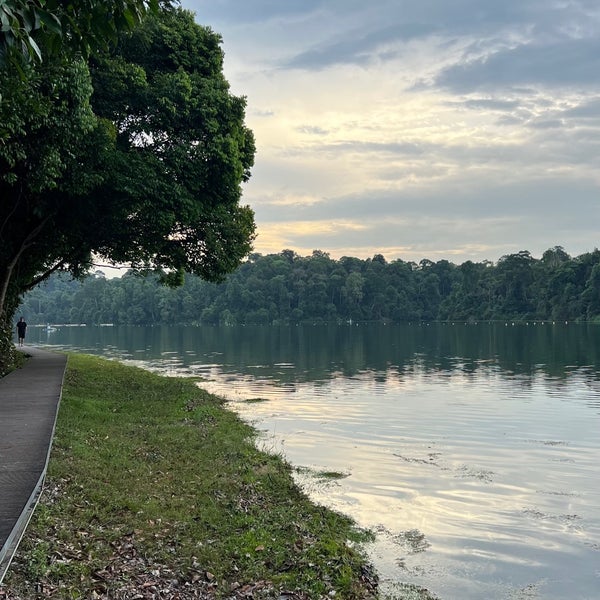 MacRitchie Reservoir Park - Central Catchment Nature Reserve - 62 tips