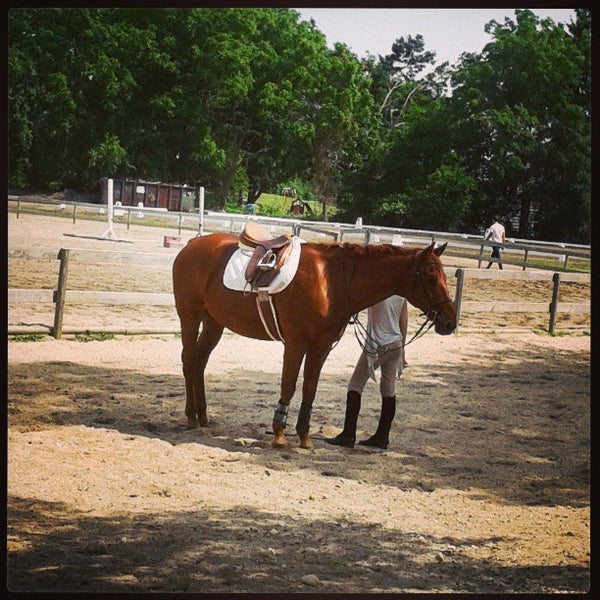 Stanhope Stables - 1 tip from 45 visitors