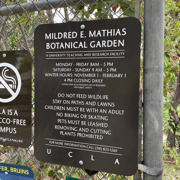UCLA Mildred E. Mathias Botanical Garden - Westwood - 9 tips from 837 ...