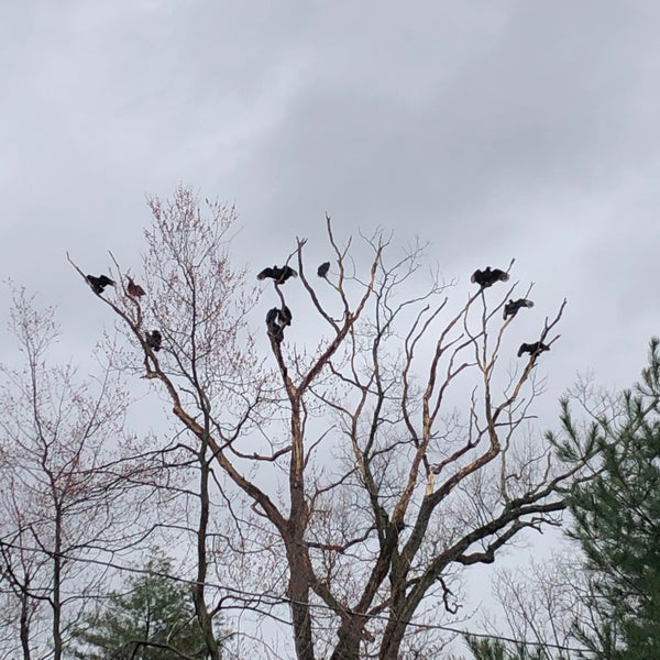 Photos at Bear Mountain Zoo and Trailsides Museum - 18 tips from 1038 ...