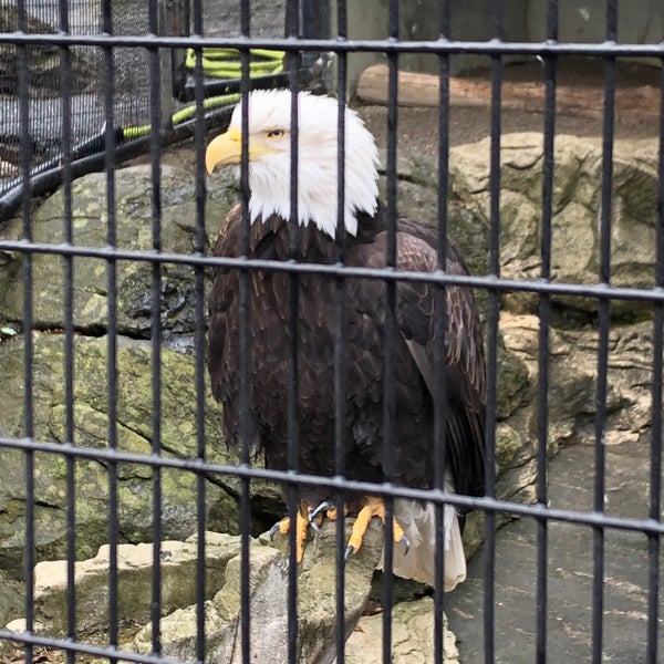 Photos at Bear Mountain Zoo and Trailsides Museum - 18 tips from 1038 ...