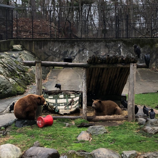 Photos at Bear Mountain Zoo and Trailsides Museum - 18 tips from 1038 ...