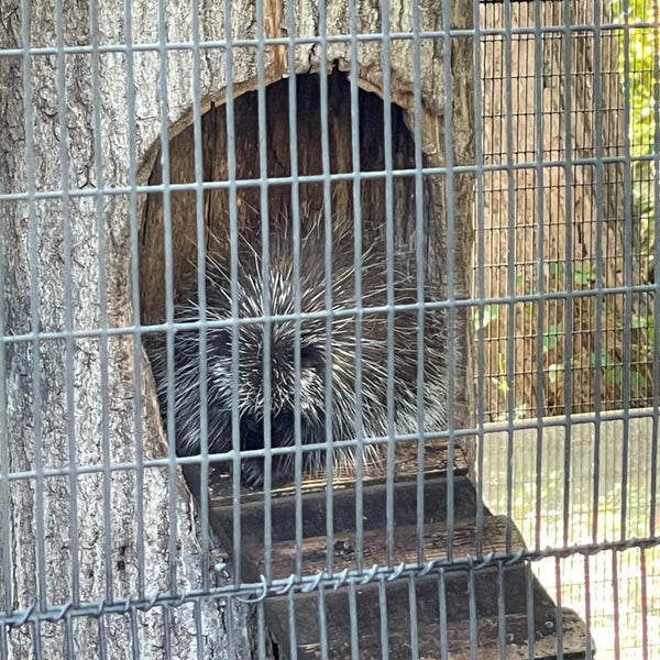 Photos at Bear Mountain Zoo and Trailsides Museum - 18 tips from 1038 ...