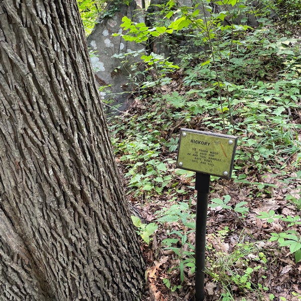 Photos at Bear Mountain Zoo and Trailsides Museum - 18 tips from 1038 ...