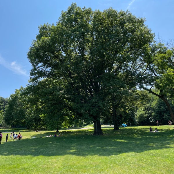 Nethermead - Field in Prospect Park