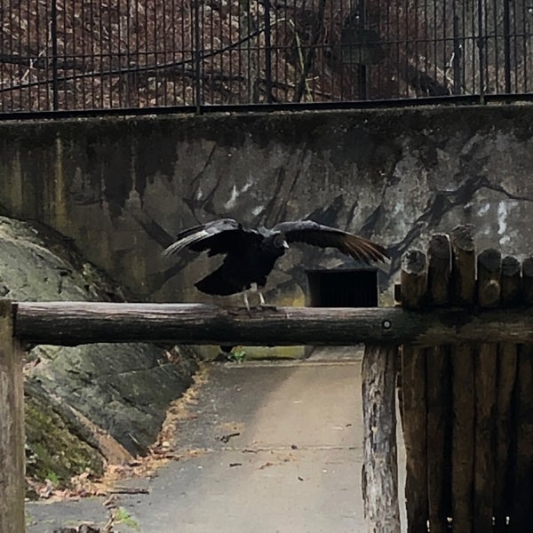 Photos at Bear Mountain Zoo and Trailsides Museum - 18 tips from 1038 ...