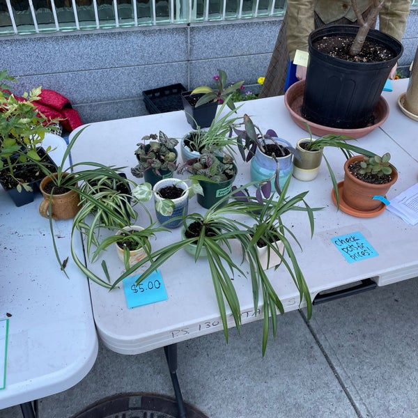 Photos at MS 839 / PS 130 Upper School - Windsor Terrace - Brooklyn, NY