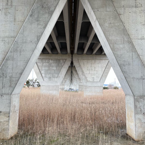 Kent Narrows Bridge - 5 tips from 3331 visitors