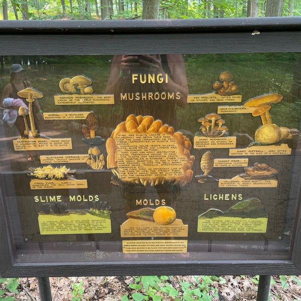 Photos at Bear Mountain Zoo and Trailsides Museum - 18 tips from 1038 ...