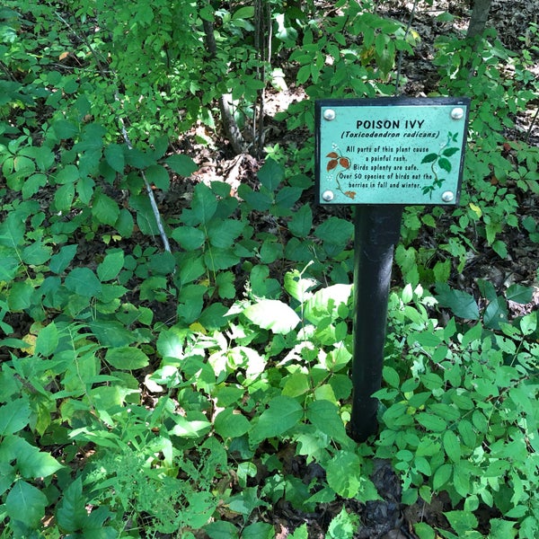 Photos at Bear Mountain Zoo and Trailsides Museum - 18 tips from 1038 ...