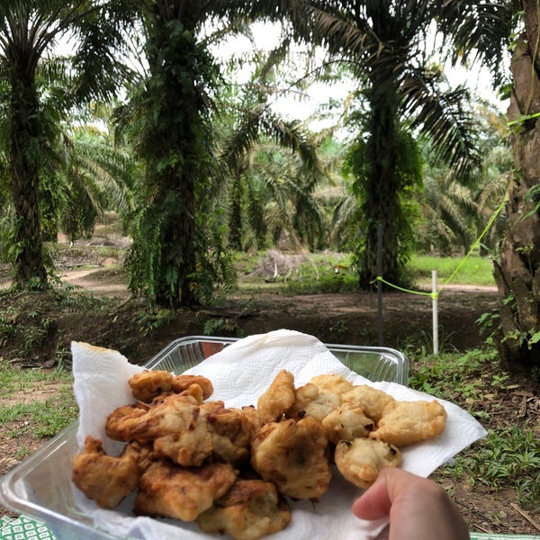 Kem Kaizen Gunung Pulai