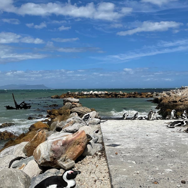 Hermanus Whale Lookout - Hermanus, Western Cape