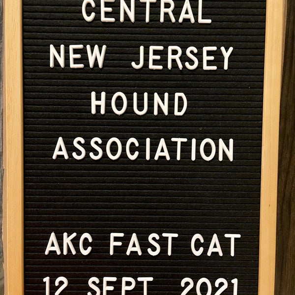 North Branch Park - 3 tips