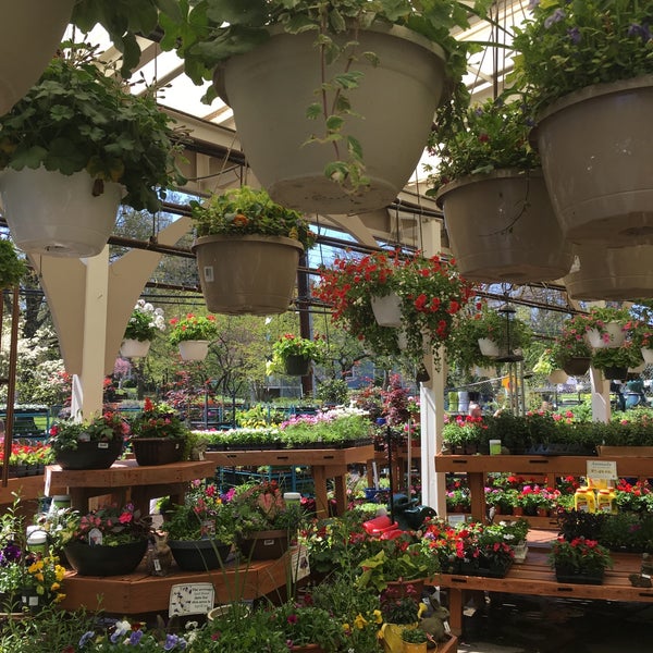 Johnson S Florist And Garden Center Kensington Parkway Md | Fasci Garden