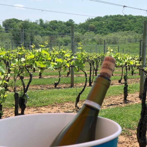 Photos at Three Fox Vineyards - Winery in Delaplane