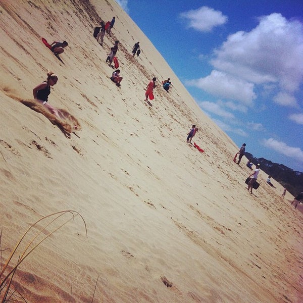 Te Paki Sand Dunes - Park in Te Hapua