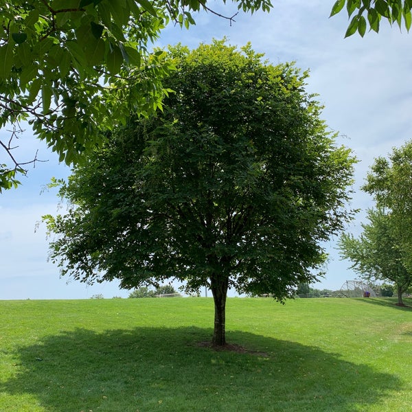 Photos at Adams-Ricci Park - Enola, PA