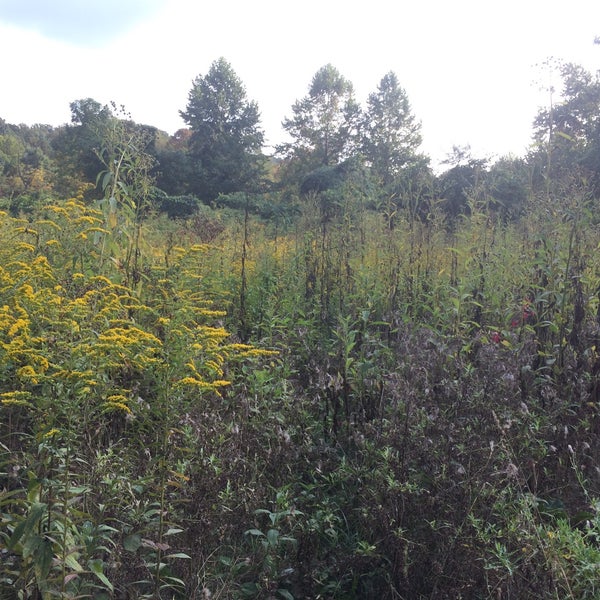 Chuckery Trail - Cuyahoga Falls, OH