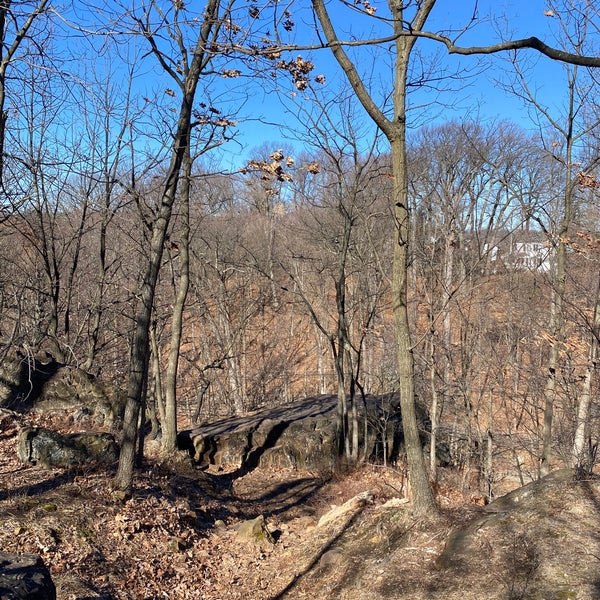 Turtle Back Rock - Park