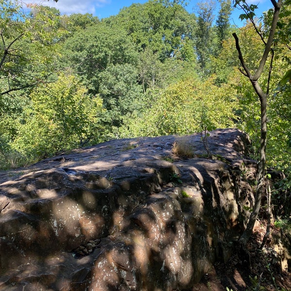 Turtle Back Rock - Park